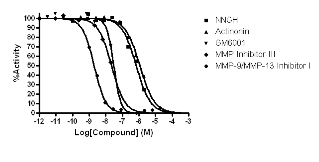 TACE Protease Assay Service | Reaction Biology