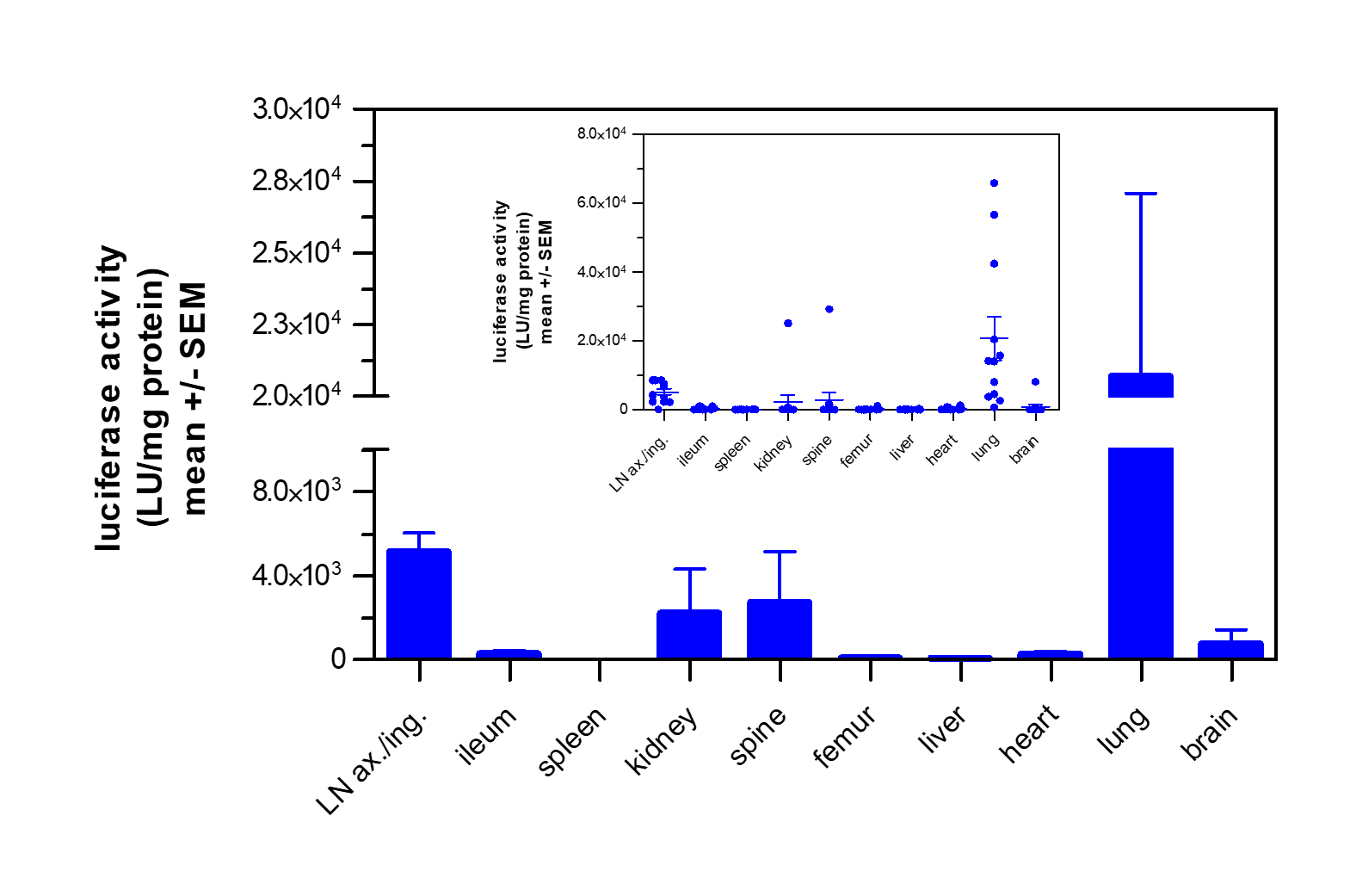 In vivo Metastasis Models for Drug Discovery | Reaction Biology