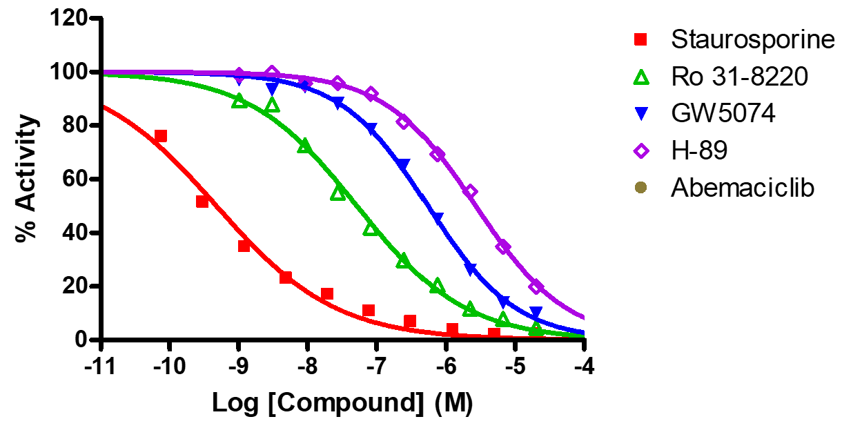 CDK3/Cyclin C Kinase Assay Service | Reaction Biology