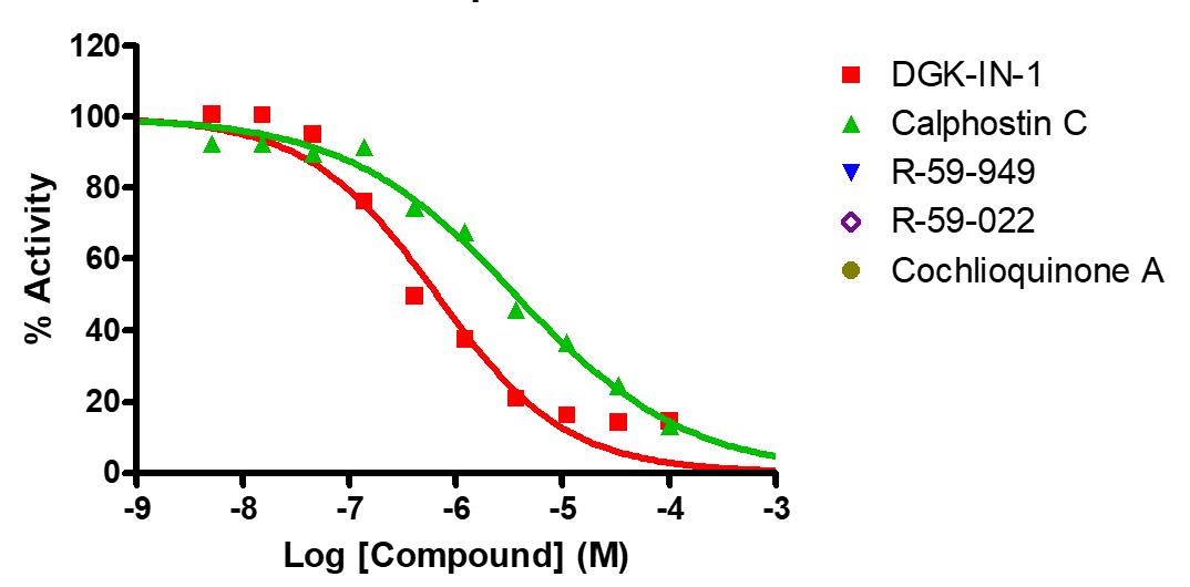 DGKG Kinase Assay Service | Reaction Biology