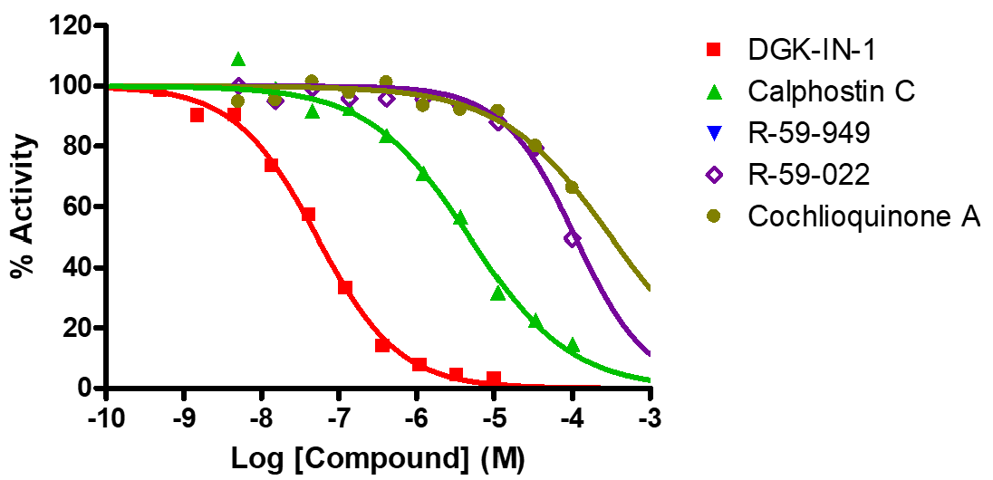 DGKI Kinase Assay Service | Reaction Biology