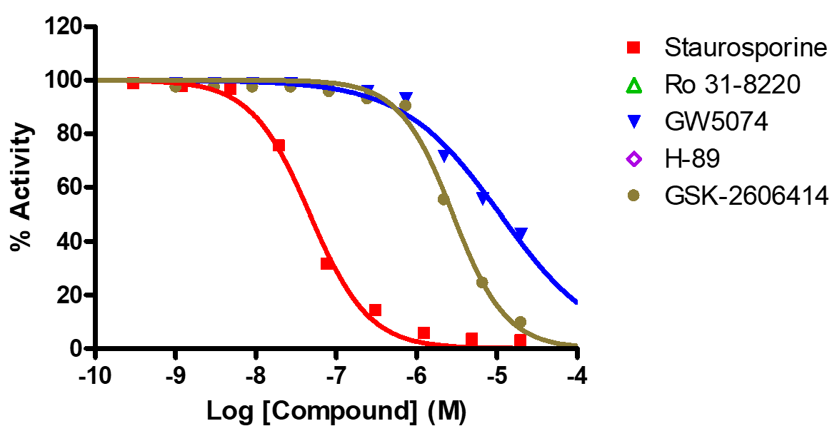 EIF2AK4/GCN2 Kinase Assay Service | Reaction Biology