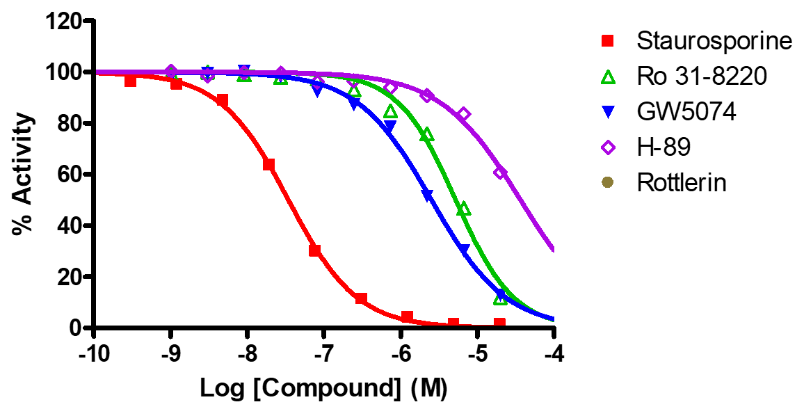 ERN1/IRE1 (R727A/R728A) Kinase Assay Service | Reaction Biology