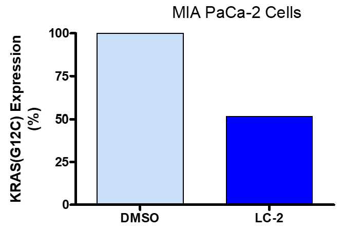 Cellular KRAS(G12C) Protein Degradation Assay | Reaction Biology