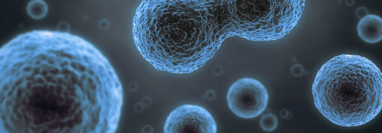 Cell Proliferation Assay Service | Reaction Biology