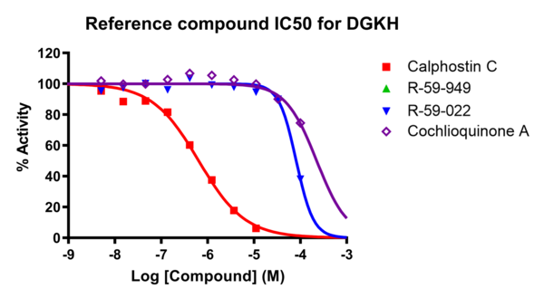 DGKH Kinase Assay Service | Reaction Biology