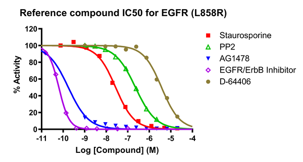 EGFR (L858R) Kinase Assay Service | Reaction Biology