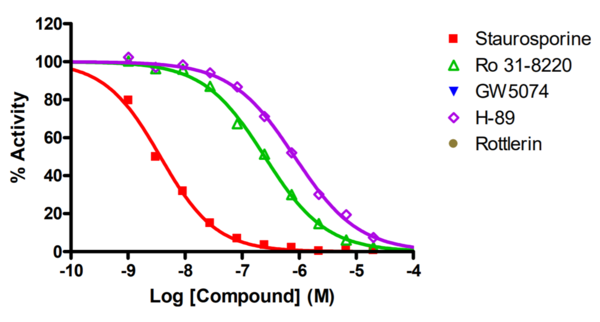 AKT2 (E17K) Kinase Assay Service | Reaction Biology