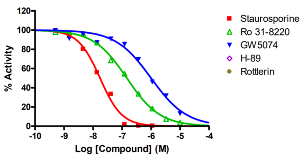 CAMKK2 Kinase Assay Service | Reaction Biology