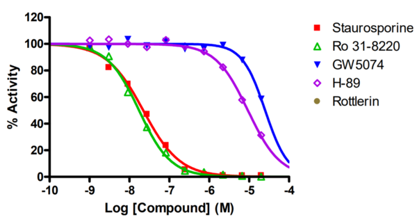 CDK14/cyclin Y (PFTK1) Kinase Assay Service | Reaction Biology