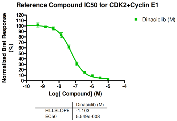 CDK2+Cyclin E1 NanoBRET Kinase Assay | Reaction Biology