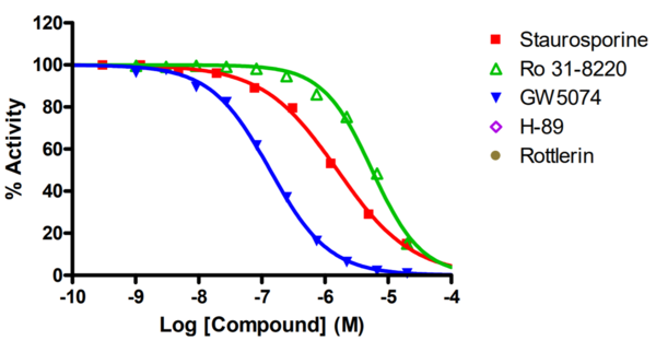 CK2a Kinase Assay Service | Reaction Biology