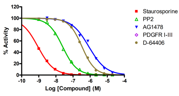 FGR Kinase Assay Service | Reaction Biology