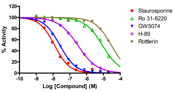 Haspin Kinase Assay Service | Reaction Biology