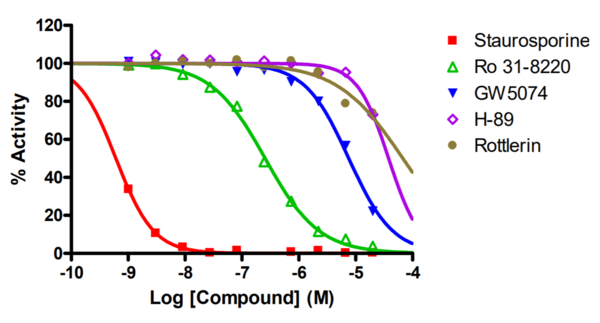 KHS/MAP4K5 Kinase Assay Service | Reaction Biology