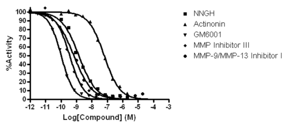 MMP 9 Protease Assay Service | Reaction Biology