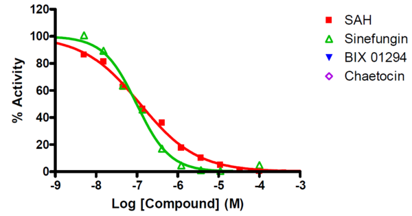 PRMT4 Methyltransferase Assay Service | Reaction Biology