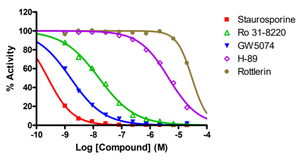 TNIK Kinase Assay Service | Reaction Biology