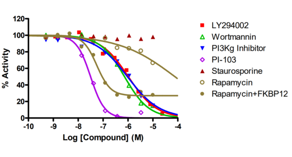 mTOR/FRAP1 Kinase Assay Service | Reaction Biology