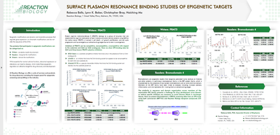 SPR (Biacore) Assay Services | Reaction Biology