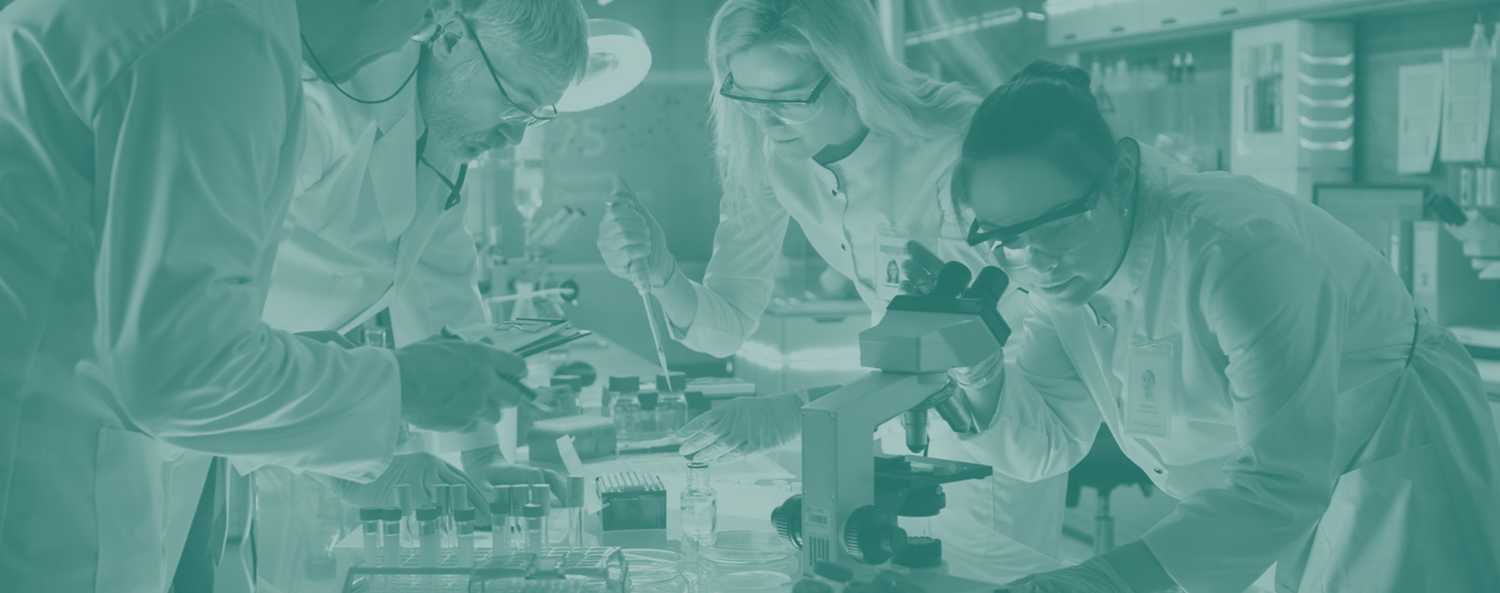 Kinase Panel Screening Services | Reaction Biology