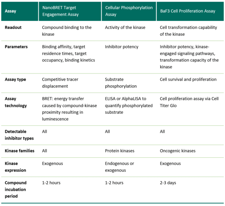 Spotlight: Cell-based kinase assay formats. - Reaction Biology