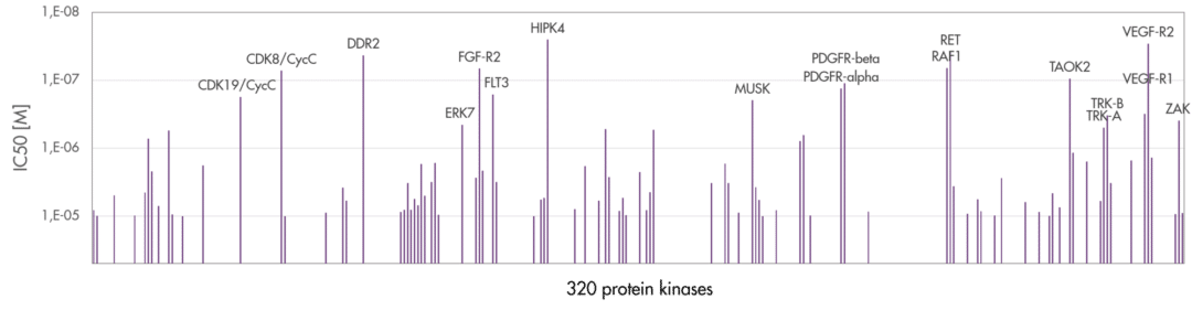 Kinase Panel Screening Services | Reaction Biology