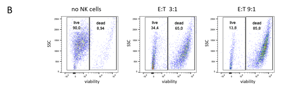 NK Cell Killing Assay Services | Reaction Biology
