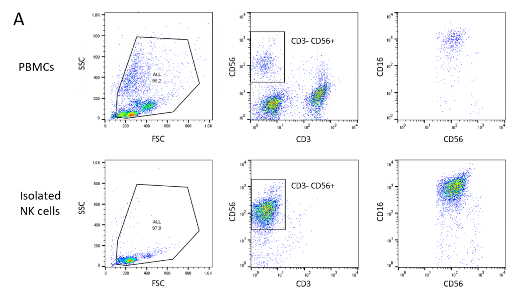 NK Cell Killing Assay Services | Reaction Biology