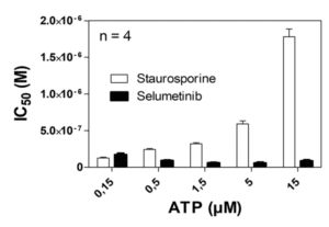 Custom Kinase Assay Services | Reaction Biology