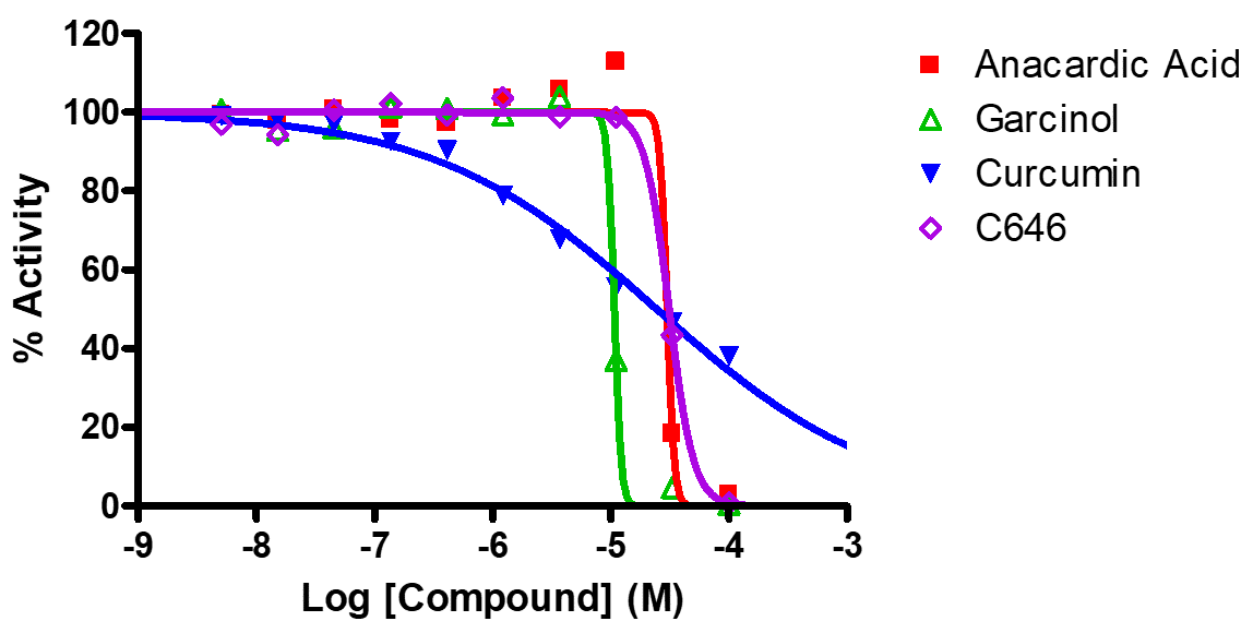 KAT5 Histone Acetyltransferase Assay Service - Reaction Biology