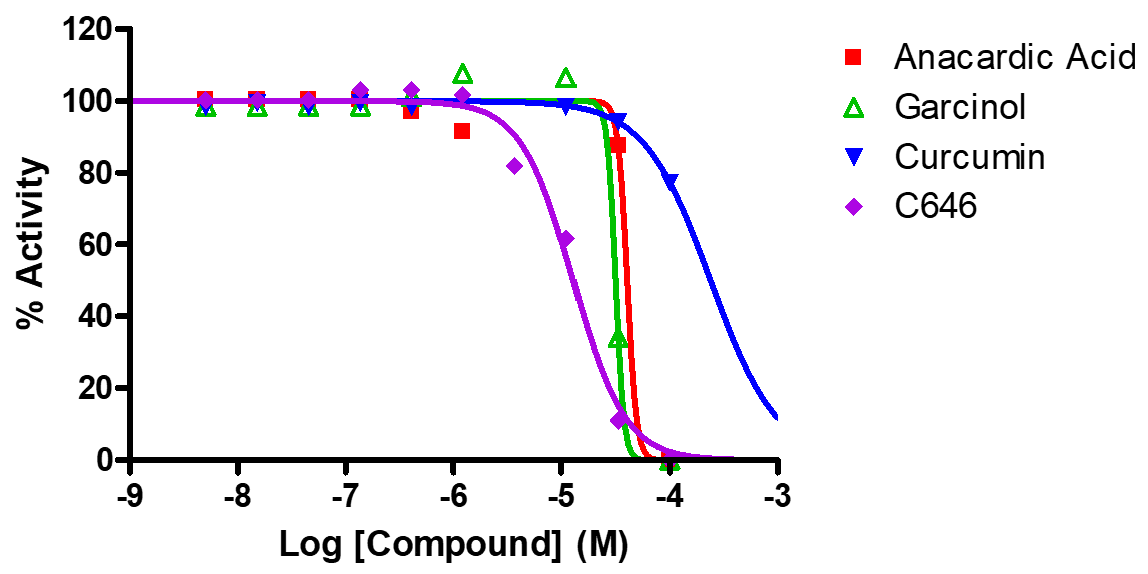KAT6A Histone Acetyltransferase Assay Service - Reaction Biology