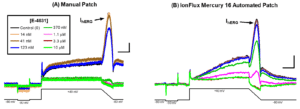 hERG Patch Clamp Assay – Cardiac Safety Panel - Reaction Biology