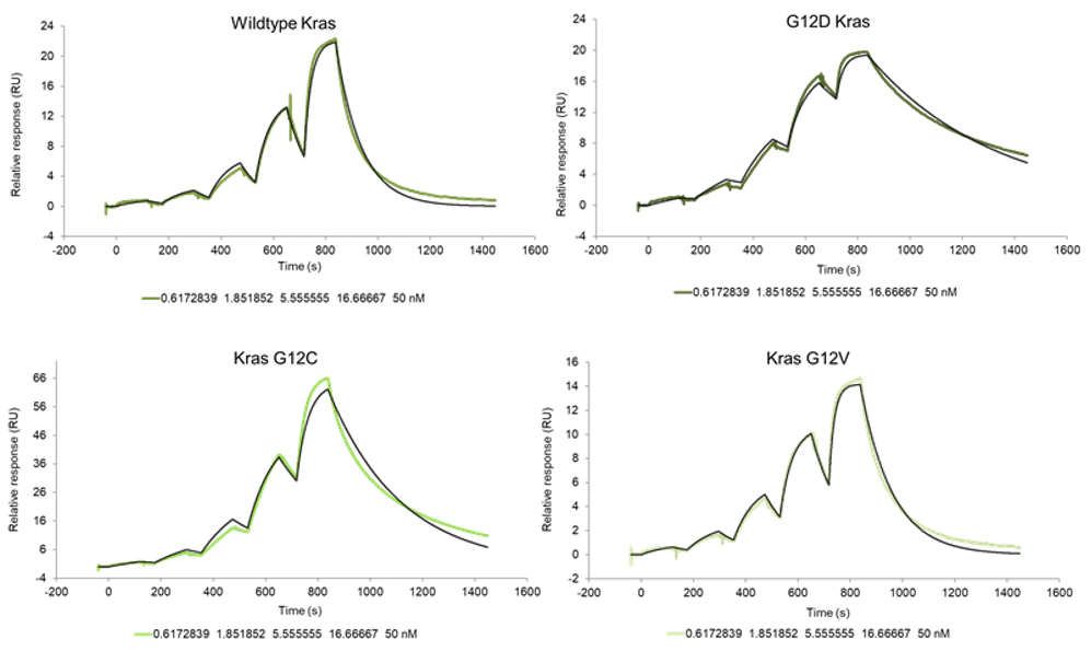 RAS Drug Discovery Services - Reaction Biology