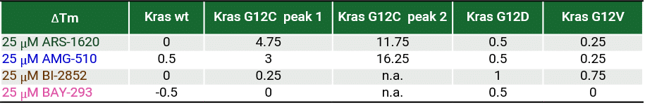 RAS Drug Discovery Services - Reaction Biology