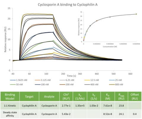 Cyclophilin A SPR Assay Service - Reaction Biology