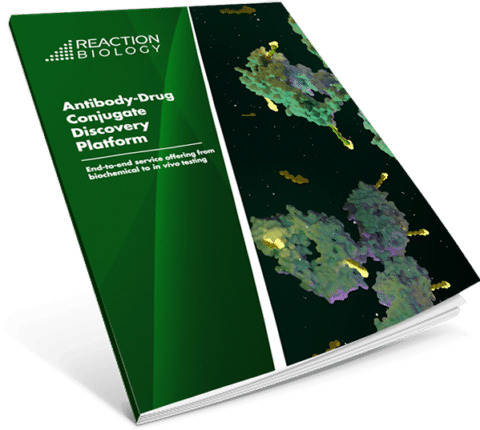 Discover our end-to-end service offering for ADC drug development